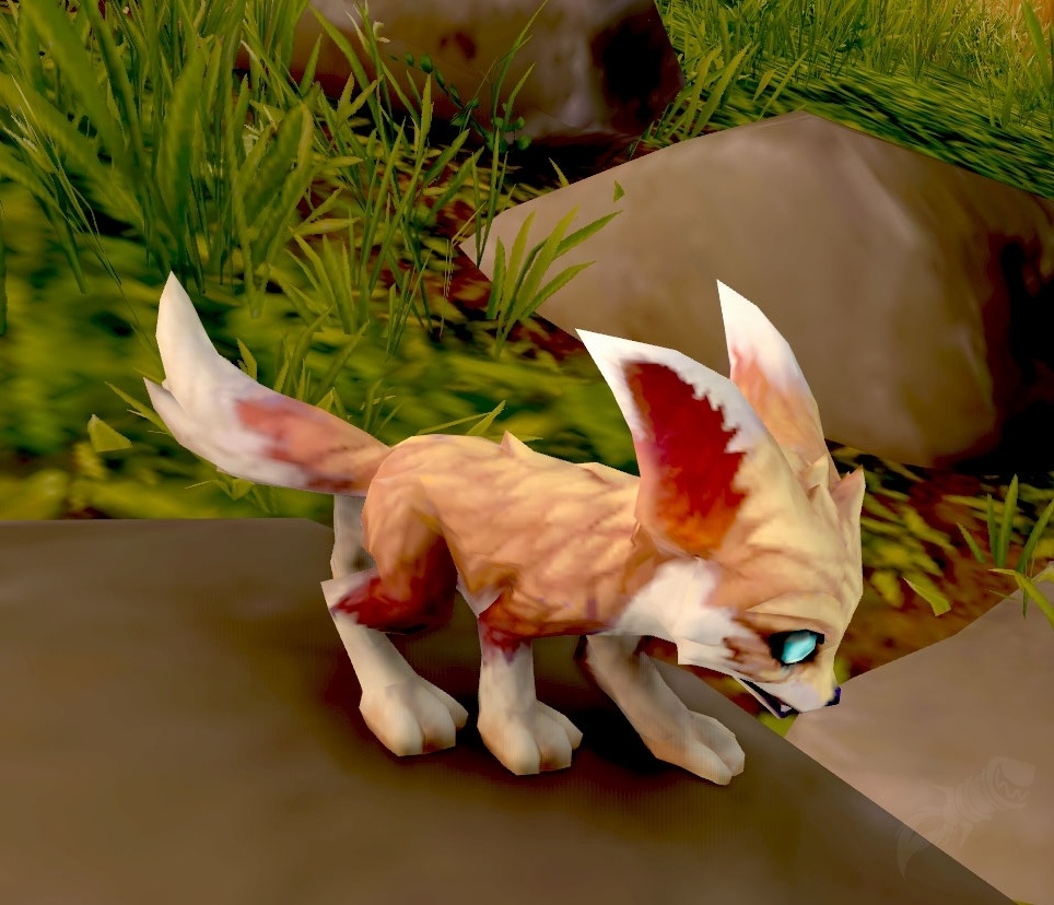 Goldenpaw Kit - NPC - World of Warcraft
