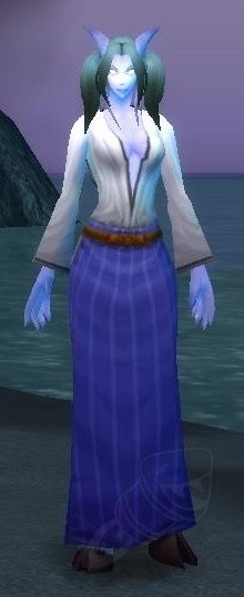 장인의 로브 - 아이템 - 리분 클래식