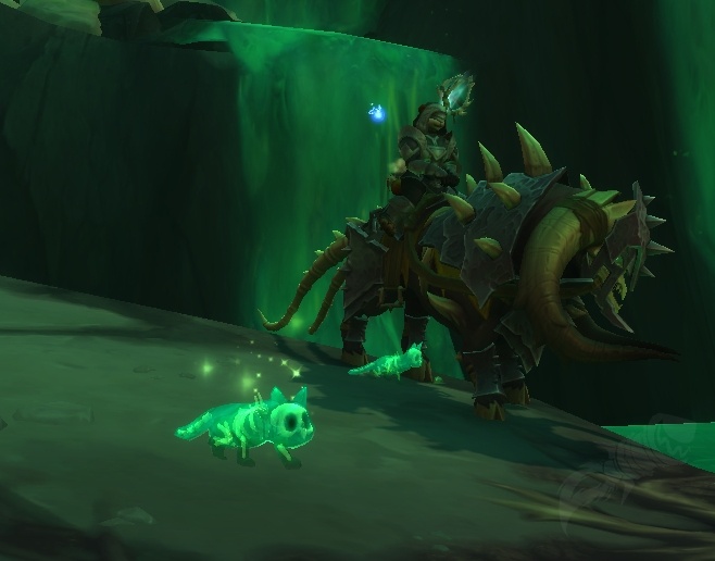 Gato Grudento - Objeto - World of Warcraft