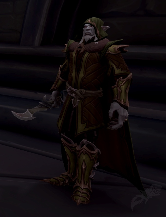 Sinfall Defender - NPC - World of Warcraft