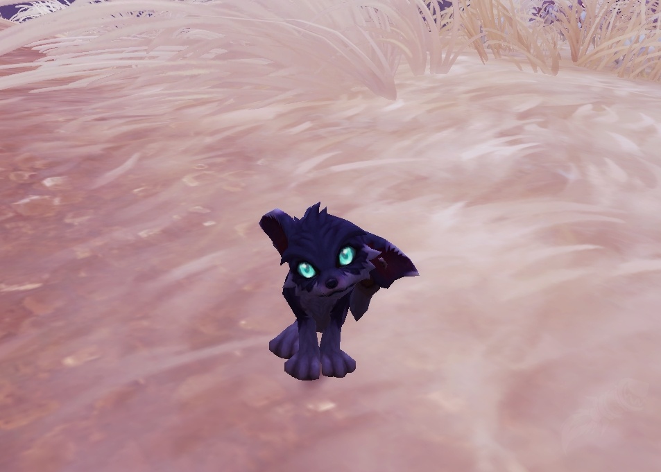 Sable - Item - World of Warcraft