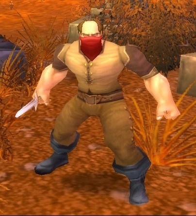 Despojador Defias - PNJ - WotLK Clásico