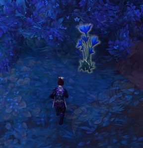 Kill Credit: Night Lily Collected - NPC - World of Warcraft