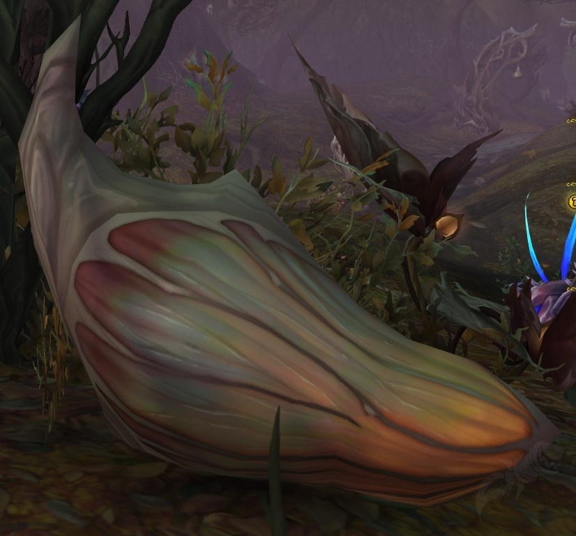 Decayed Husk - Object - World of Warcraft