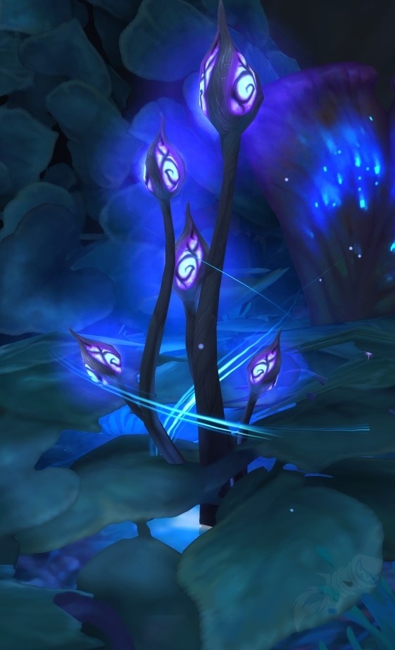 Lunarlight Bud - NPC - World of Warcraft
