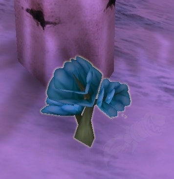 Flower of Generosity - Object - World of Warcraft
