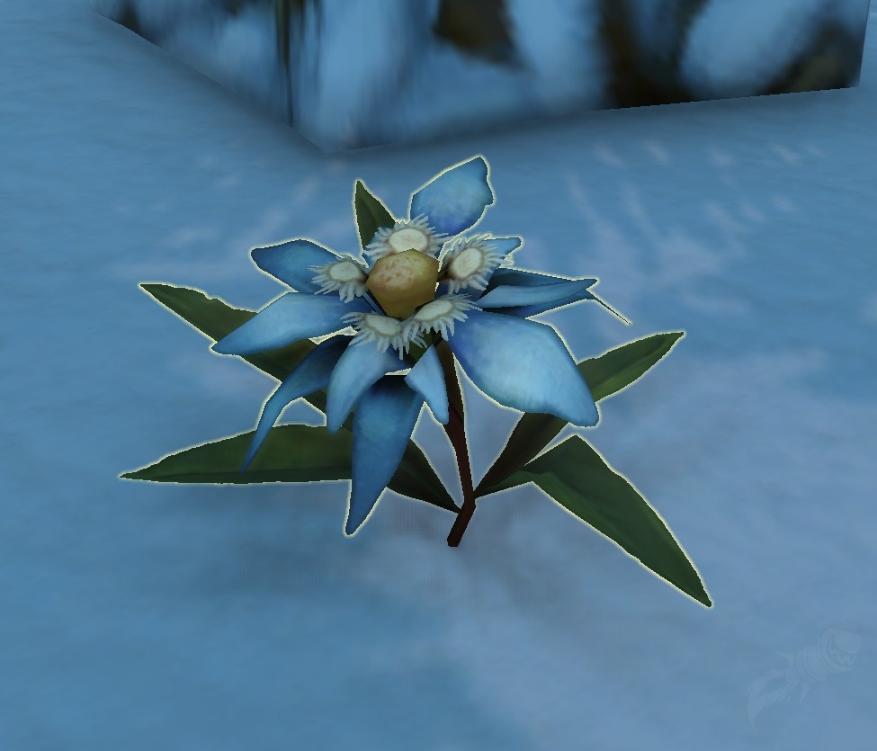 Flower of Luck - Object - World of Warcraft
