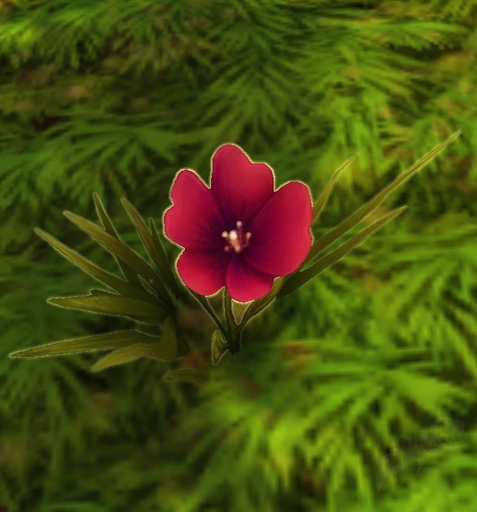 Flower of Wealth - Object - World of Warcraft