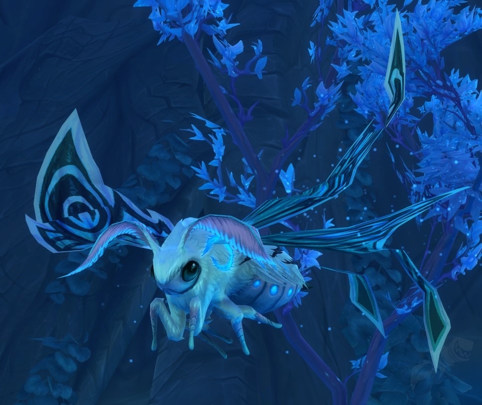 Grand phalarden - PNJ - World of Warcraft