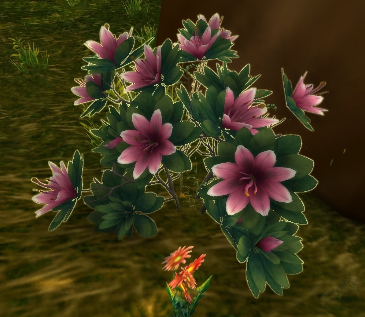 Flower of Vigor - Object - World of Warcraft