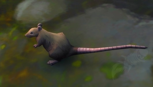 Scurrying Rat - NPC - World of Warcraft
