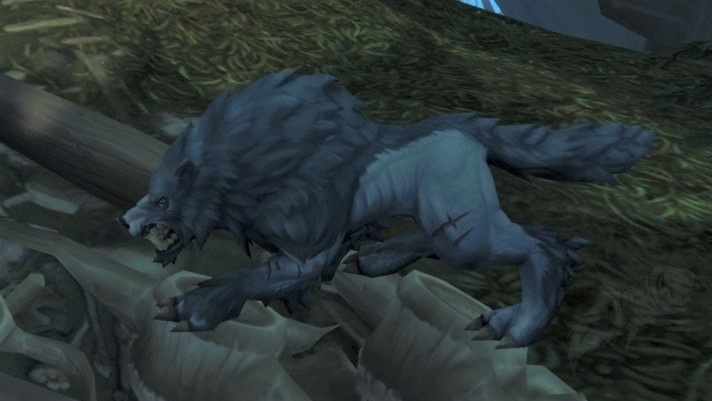 Huargo cazador - PNJ - World of Warcraft