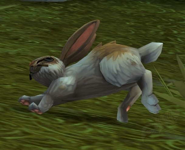 Lebre Mosqueada - PNJ - World of Warcraft