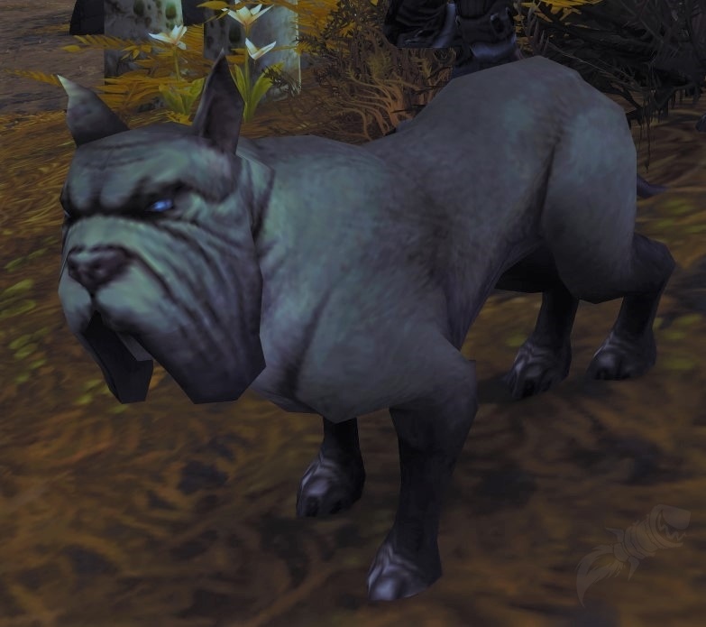 Tracking Hound - NPC - World of Warcraft