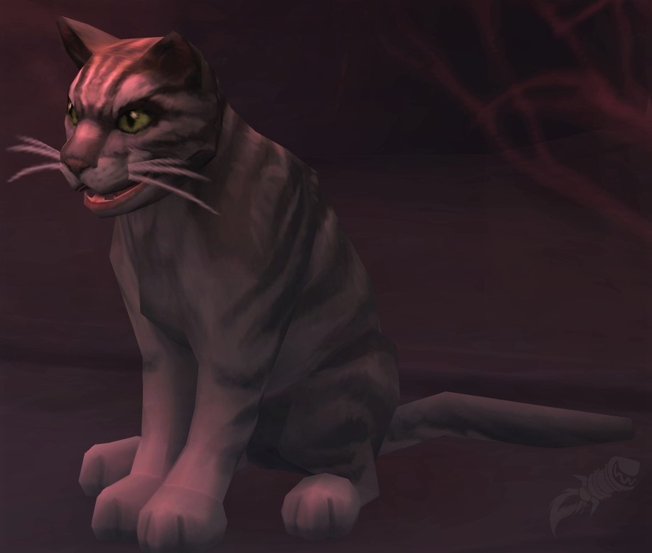 Momo - NPC - World of Warcraft