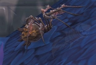 Spider - NPC - World of Warcraft