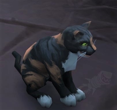 Cat - NPC - World of Warcraft