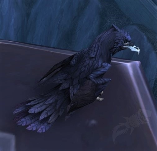 Raven - NPC - World of Warcraft