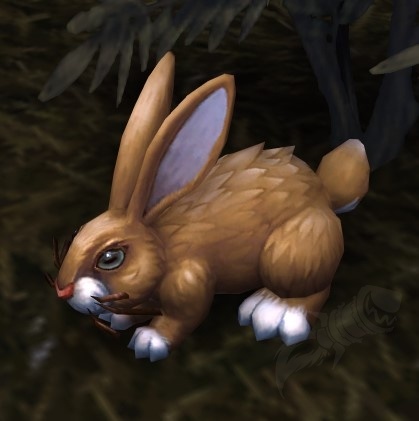 Rabbit - NPC - World of Warcraft