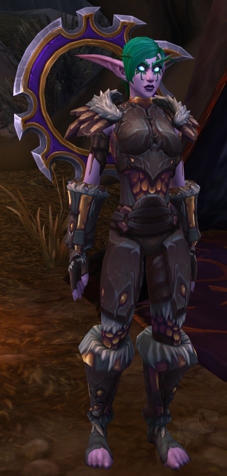 Warden Trainee - NPC - World of Warcraft