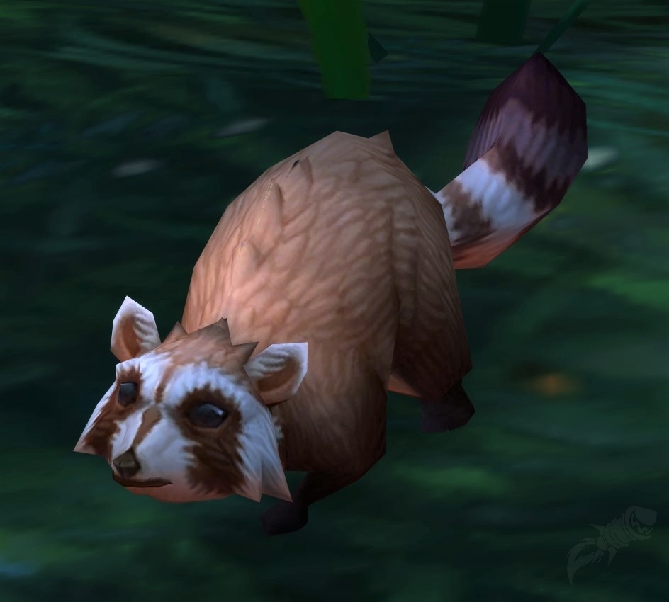 Auburn Ringtail - NPC - World of Warcraft