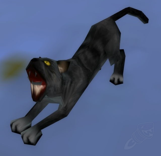 Gato negro - PNJ - World of Warcraft