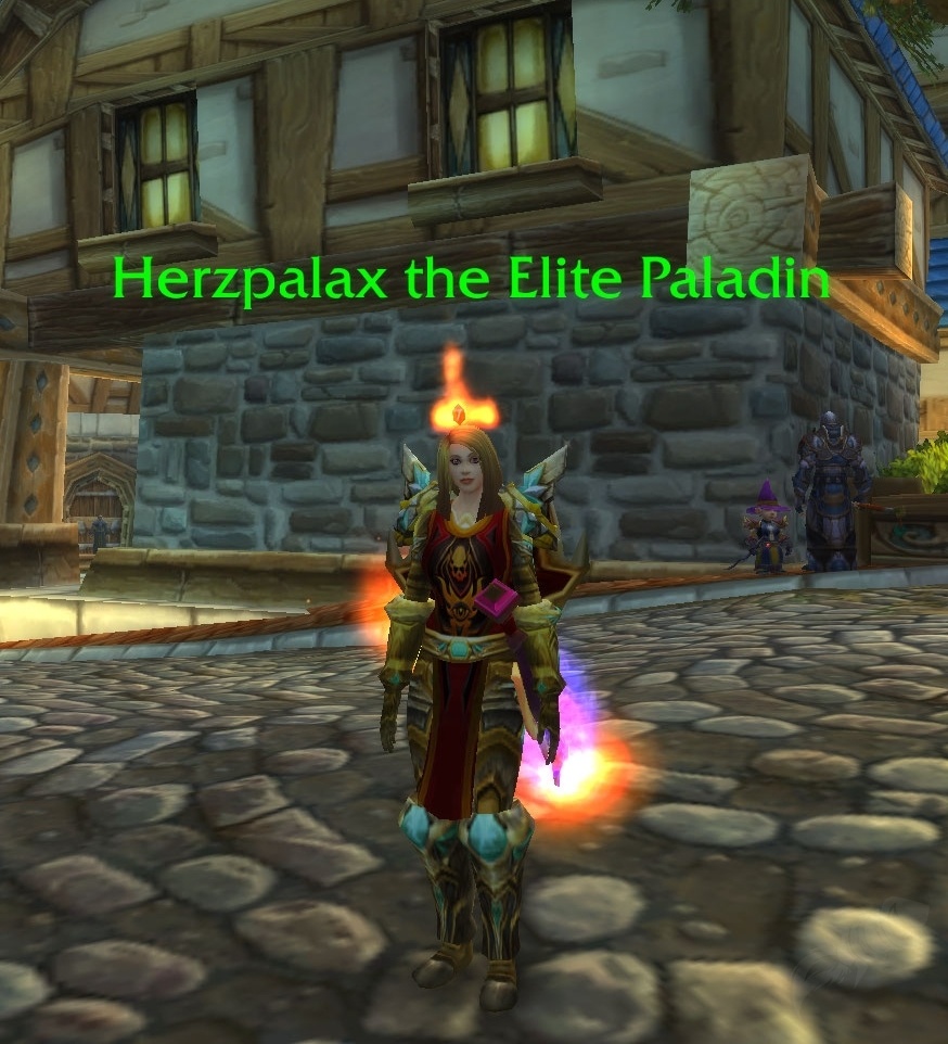 the Elite Paladin - Title - World of Warcraft