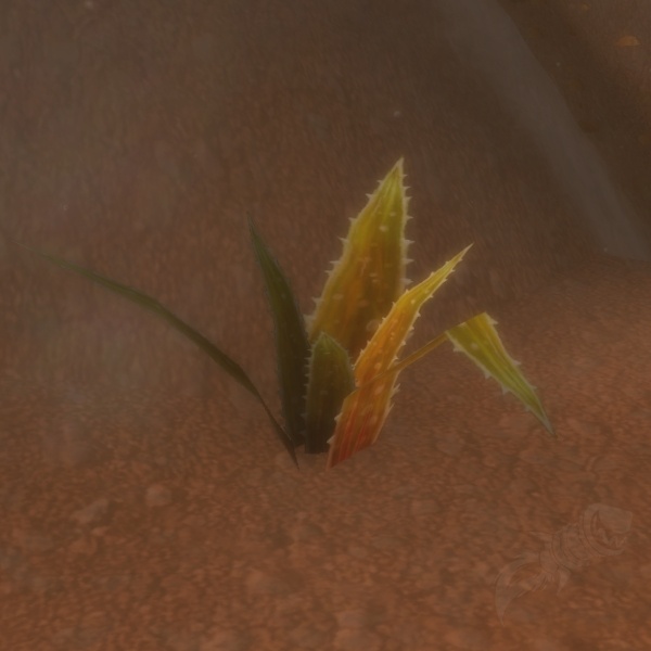 Incendia Agave - Item - Classic World of Warcraft