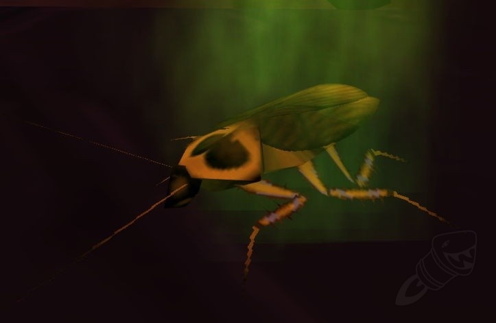 Plagued Roach - NPC - World of Warcraft