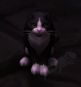 Merlin - NPC - World of Warcraft