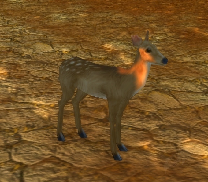 Deer - NPC - WotLK Classic