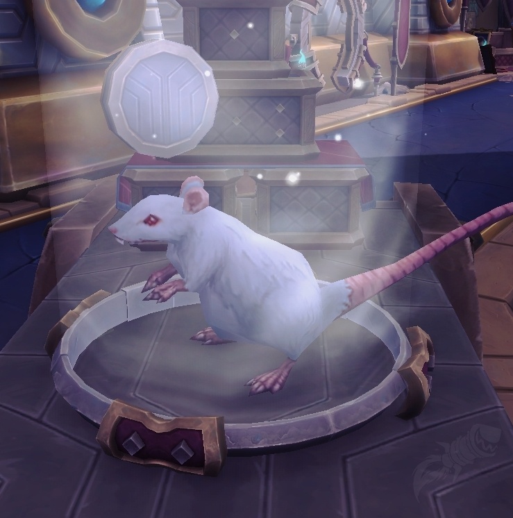 Rat of Unusual Size - NPC - World of Warcraft