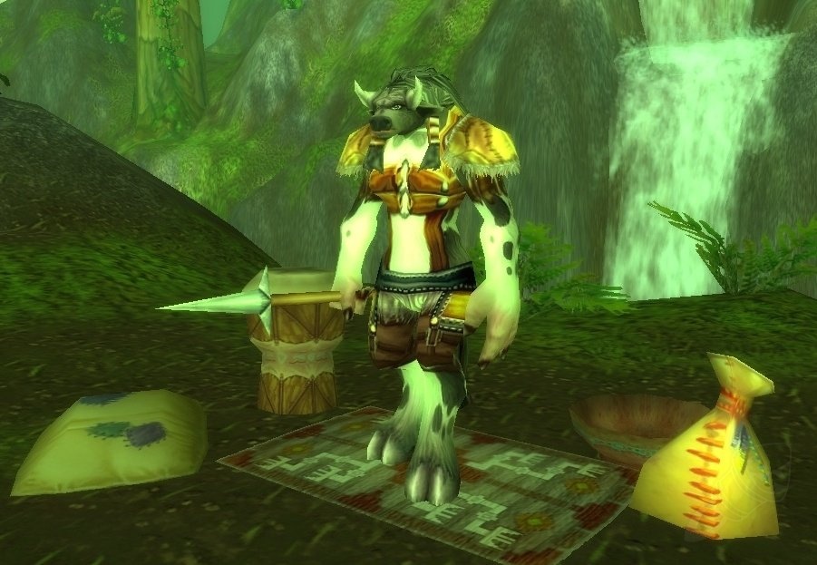 [UNUSED]Shyn - NPC - World of Warcraft