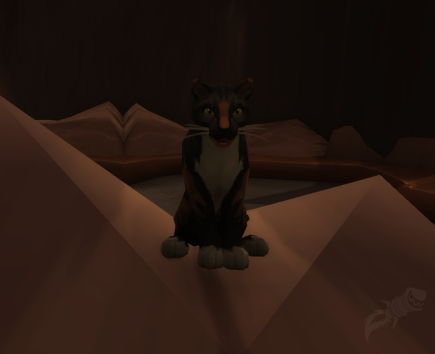Katrina - PNJ - World of Warcraft
