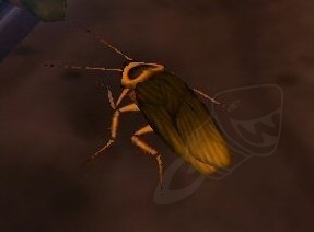 Cockroach - NPC - Classic World of Warcraft