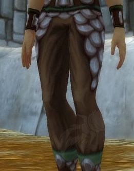 Hunter's Pants - Item - World of Warcraft