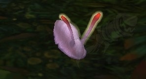 Spitzy - Item - World of Warcraft
