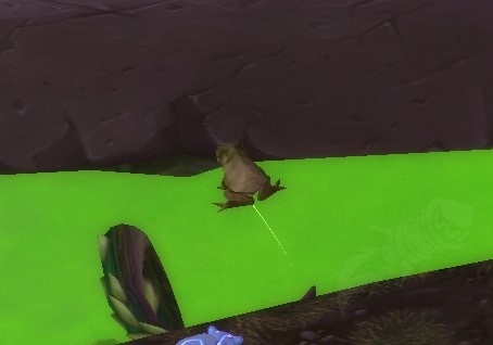 Bloated Frog - Item - World of Warcraft