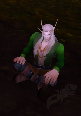 Orian Sylvanleaf - NPC - World of Warcraft