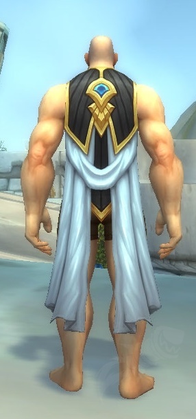 Selfless Watcher's Cloak - Item - World of Warcraft
