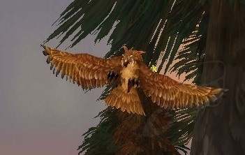 Falcon Versus Hawk - Quest - WotLK Classic