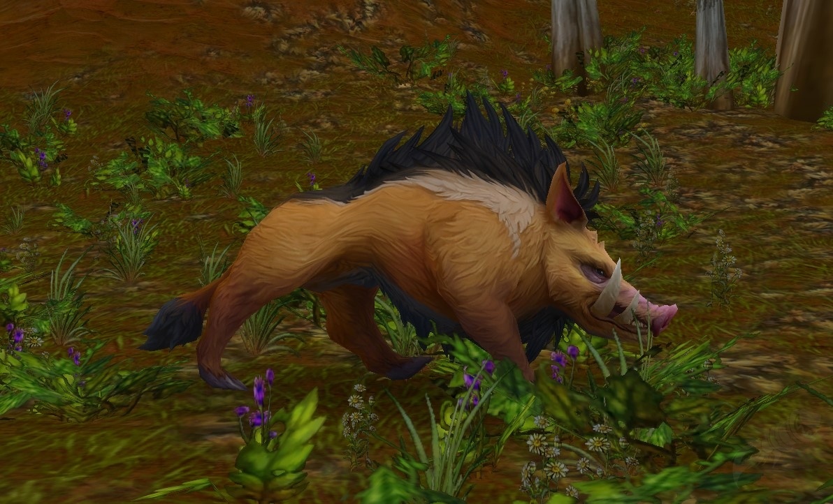 Bellygrub - NPC - World of Warcraft