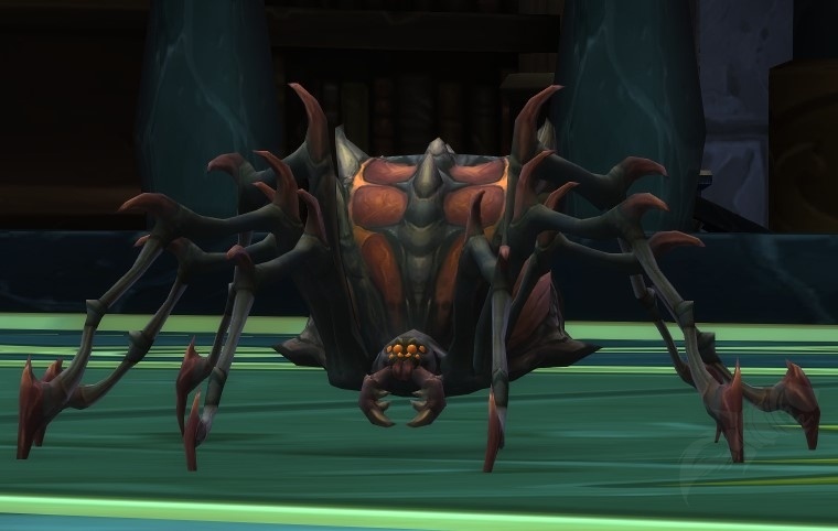 Araña - PNJ - World of Warcraft