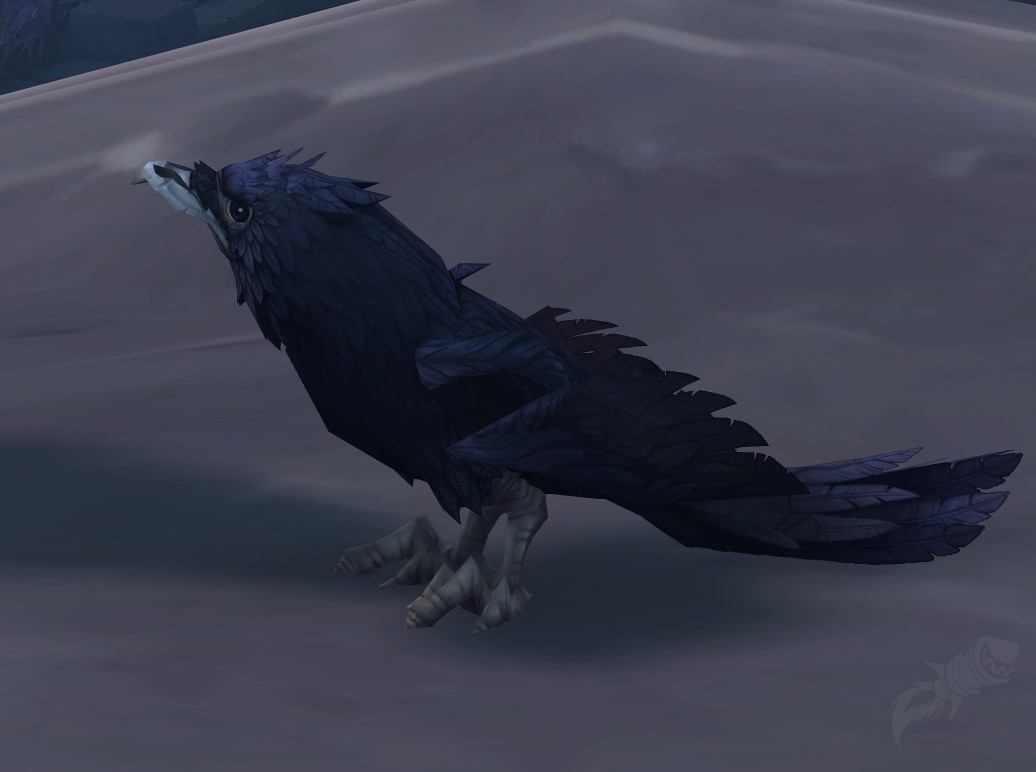 Raven - NPC - World of Warcraft