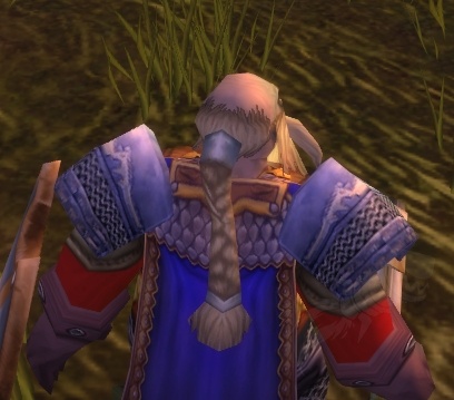 Durable Chain Shoulders - Item - WotLK Classic