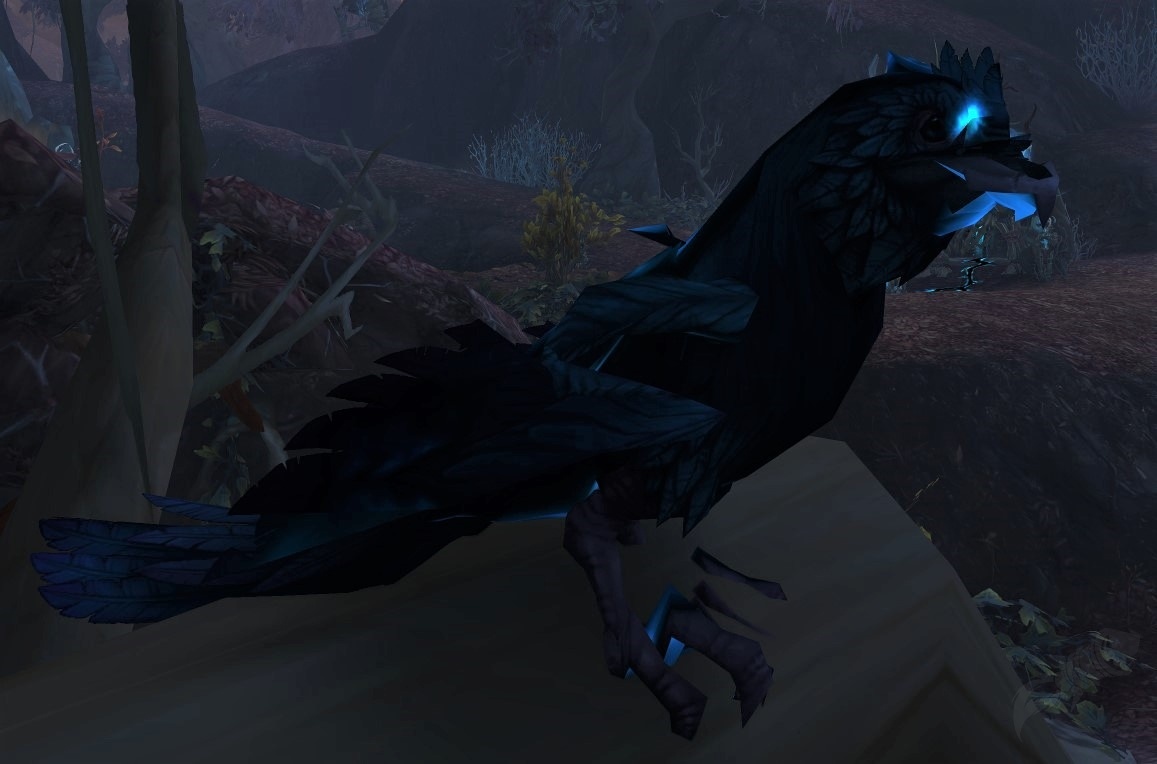 Hexed Raven - NPC - World of Warcraft