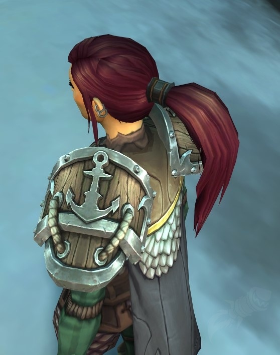 Crone-Seeker's Shoulderguards - Item - World of Warcraft