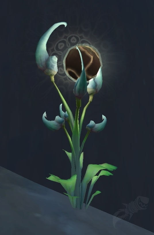 Lush Elusive First Flower - Object - World of Warcraft