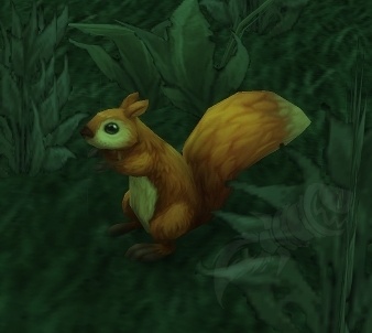 Squirrel - NPC - World of Warcraft