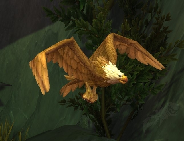 Hungry Eagle - NPC - World of Warcraft
